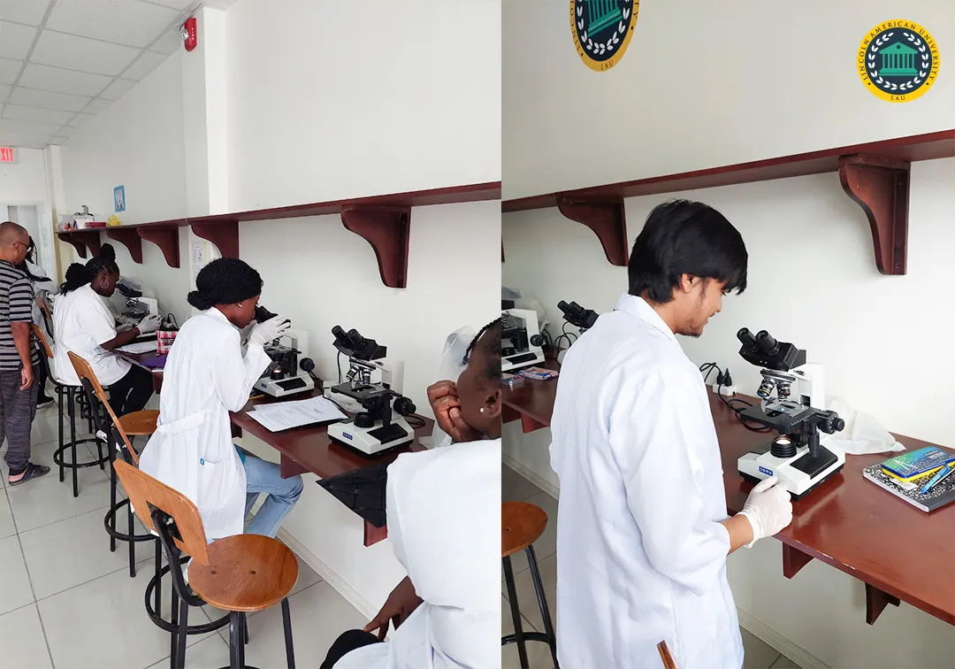 Hands-On Learning For LAU Students at Microbiology Lab | Gallery